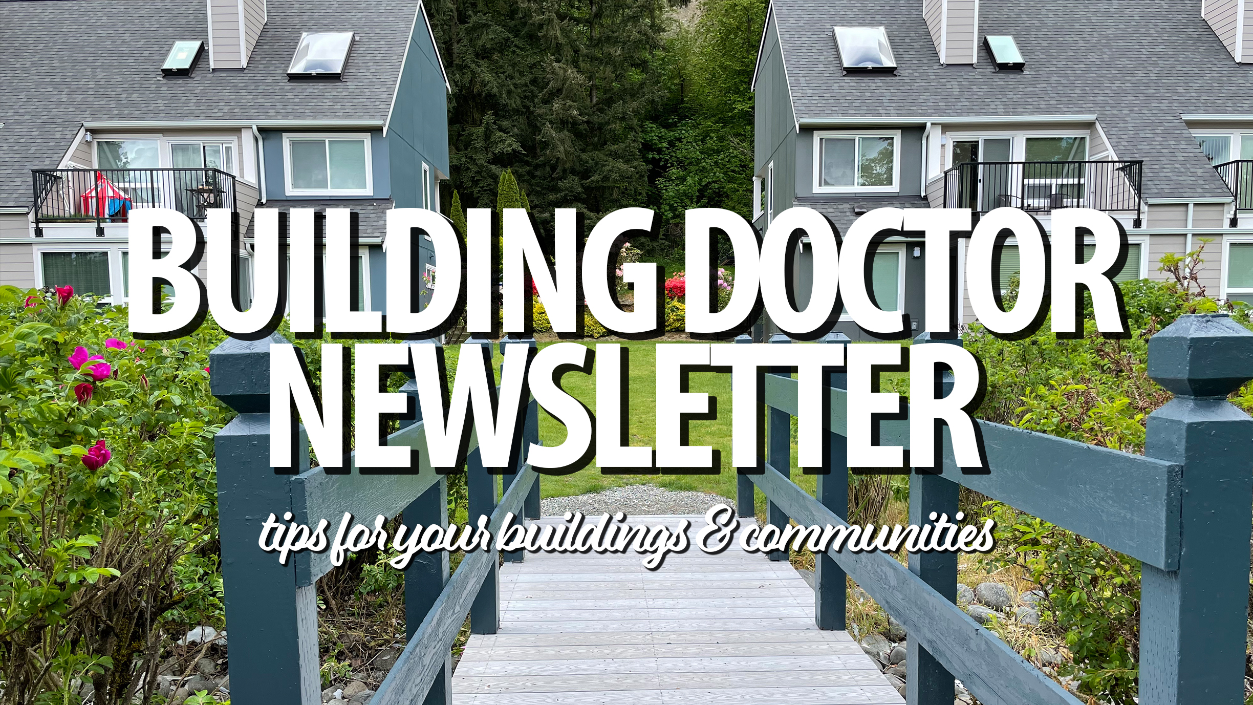 Building Doctor Newsletter